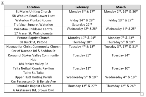 FREE B4 School Check - Ropata Health